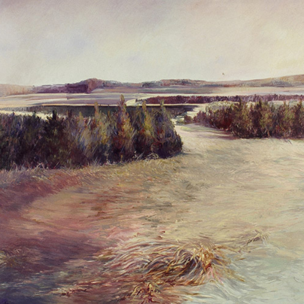landscapes