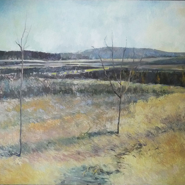 landscapes