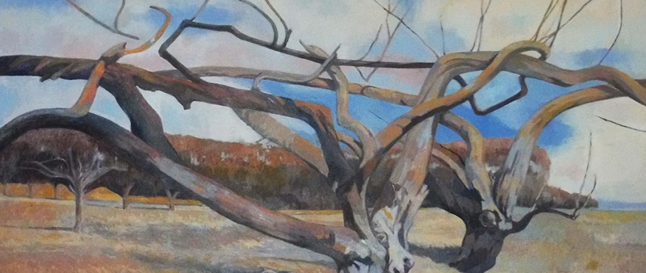Gail Fox – Painter